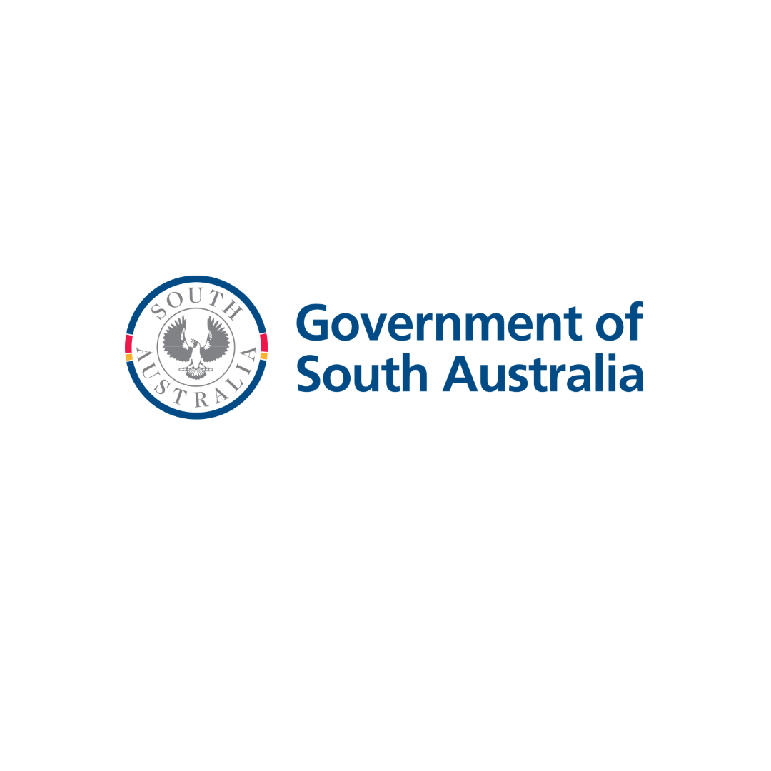 2025 Complete Guide – NAATI/NATTI Certified Translations for Driver’s ...